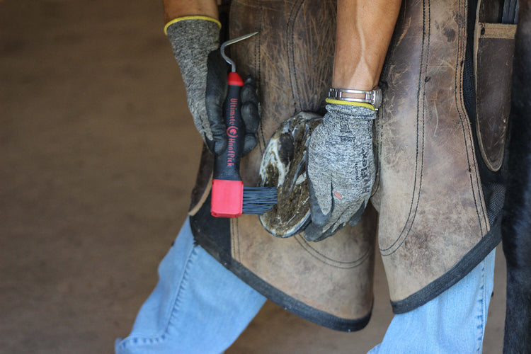 The Ultimate Hoofpick – Equinimity